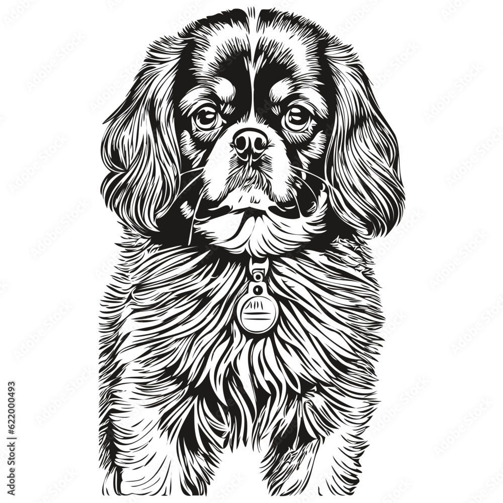 English Toy Spaniel dog head line drawing vector,hand drawn ...