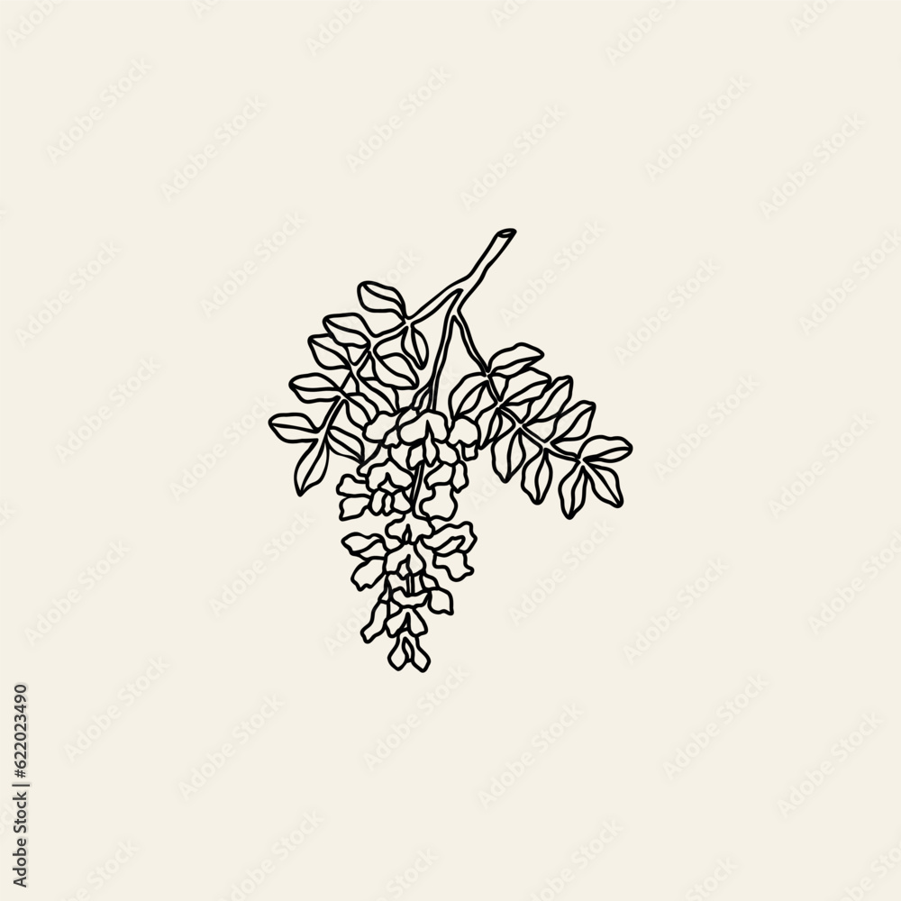 Line art black locust illustration Stock Vector | Adobe Stock