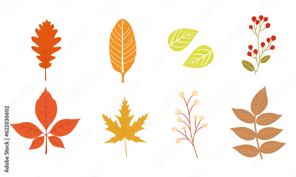 autumn leaves set, isolated on transparent background. simple flat ...