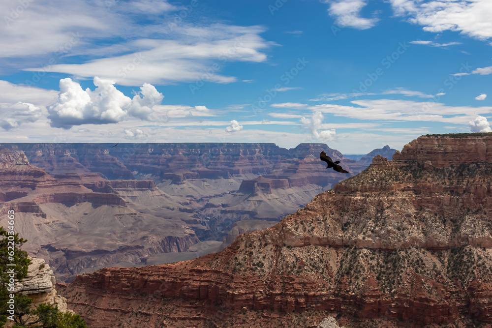 Flock of black birds flying over South Rim of Grand Canyon National ...
