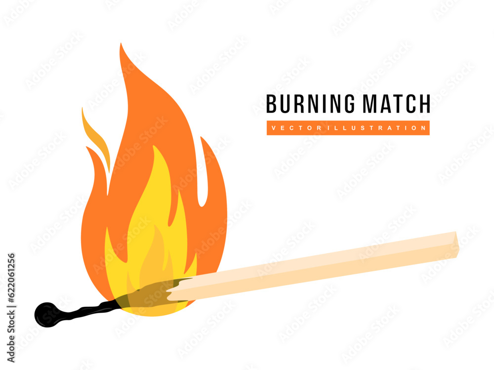 Burning match isolated. Lit match stick burning with fire flame ...