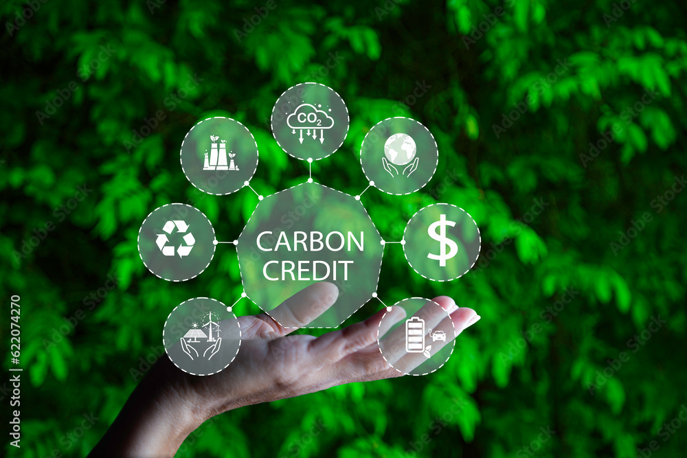 Carbon Credit Market. Carbon credit icon in hand on green leaf ...