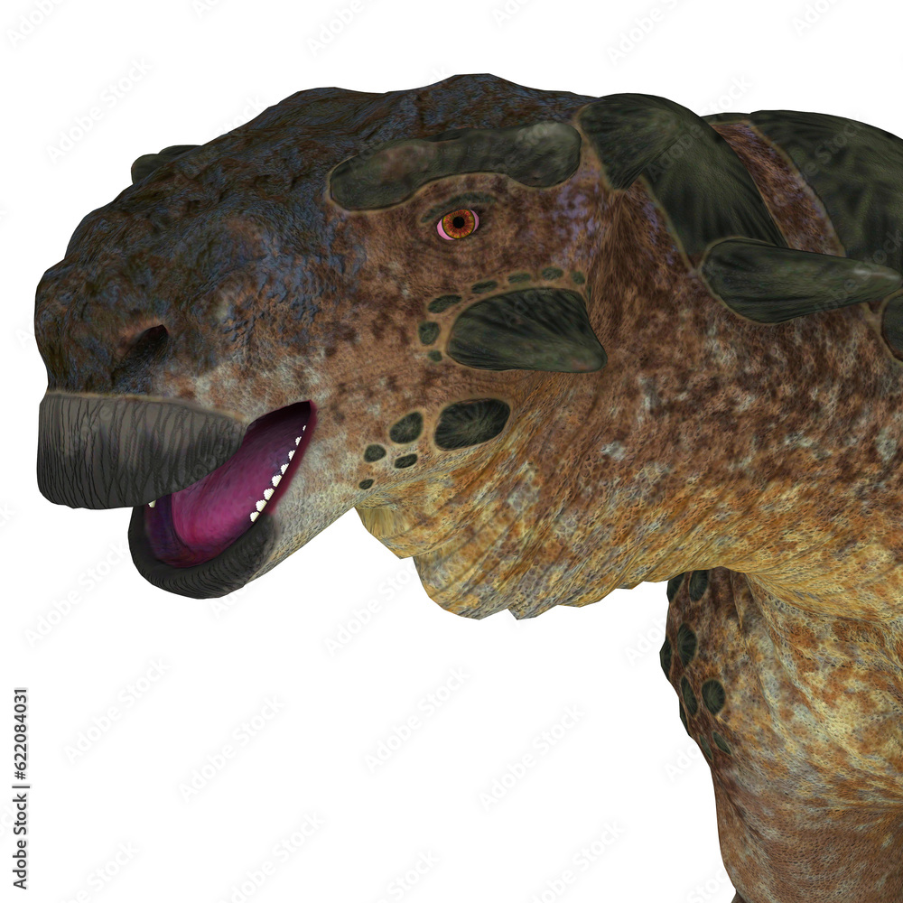 Pinacosaurus was a herbivorous ankylosaur that lived in the Cretaceous ...