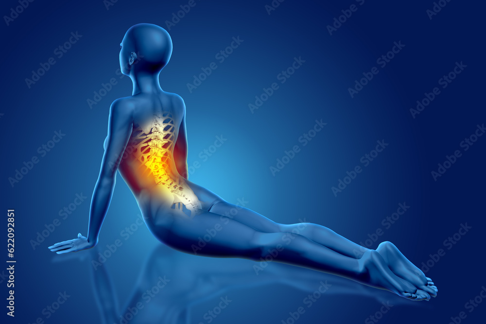 3D render of a female medical figure in yoga pose with backbone ...