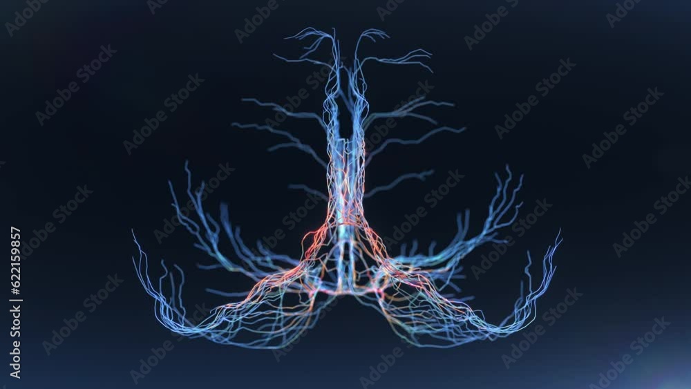 Artificial intelligence growing process, brain neurons building ...