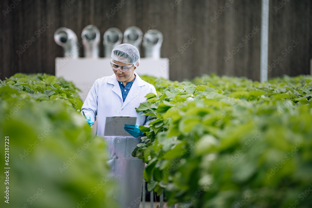 The farm owner efficiently scans, examines, and analyzes all aspects of ...