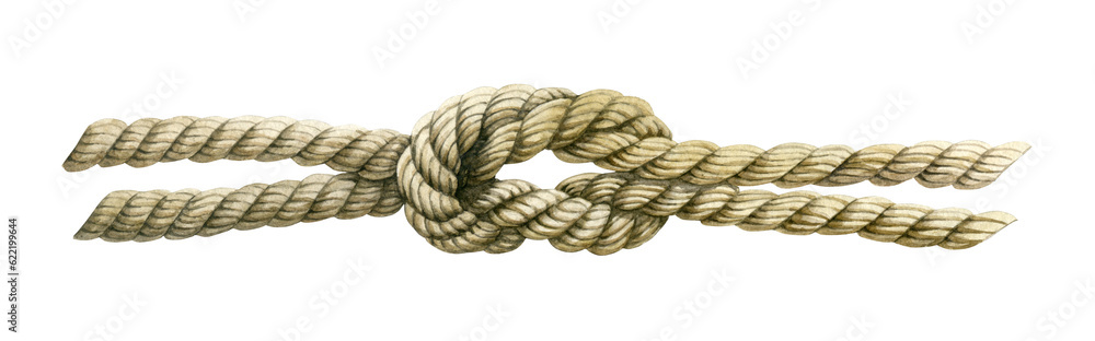 Watercolor knotted ropes realistic cords knot. Nautical thread whipcord ...
