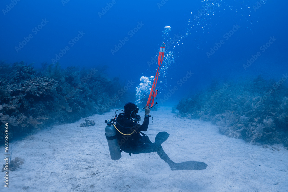 Scuba diver underwater with bubbles and looking away while throwing ...