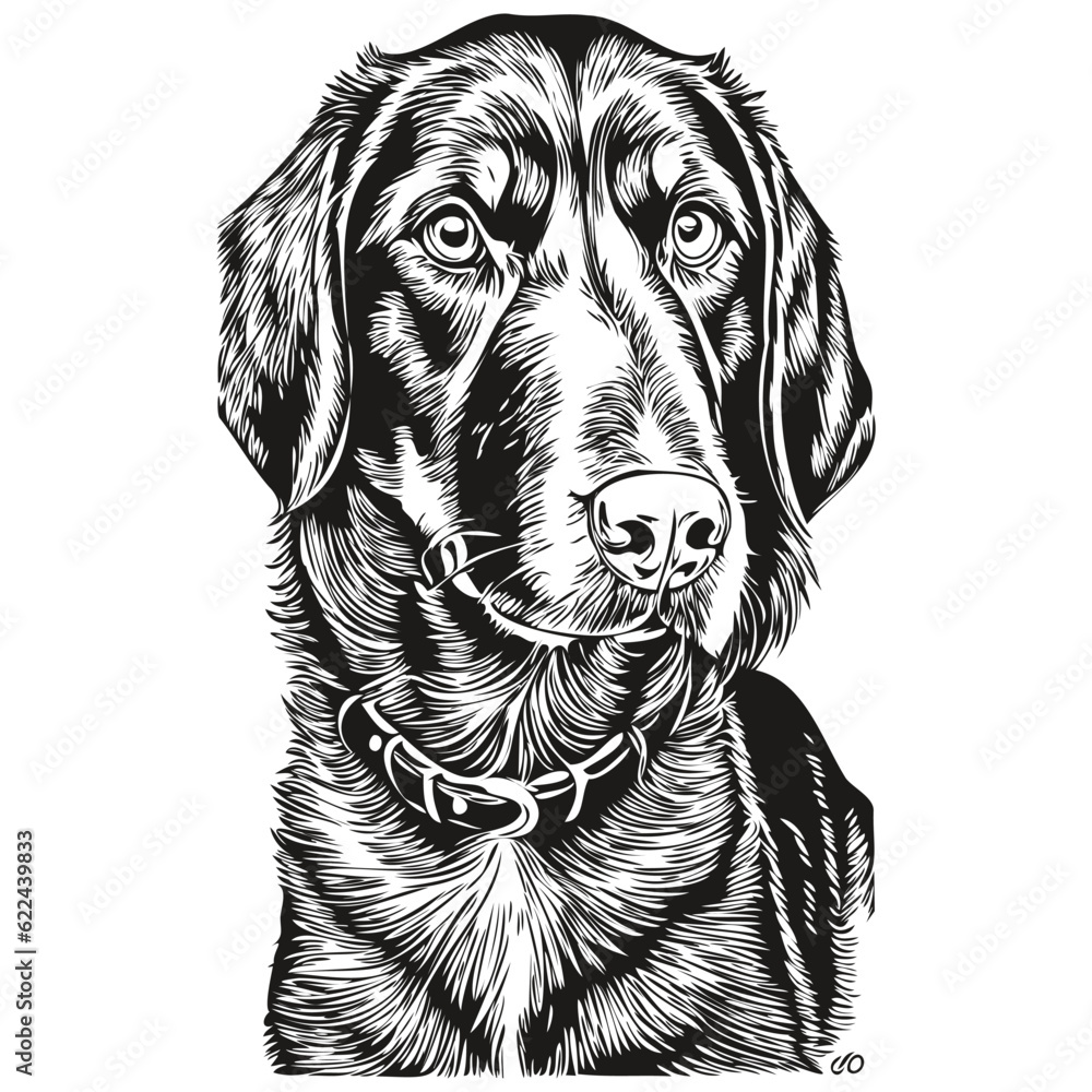 Black and Tan Coonhound dog silhouette pet character, clip art vector ...