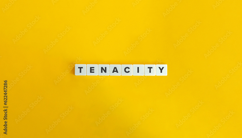 Tenacity Word and Concept Image. Stock Photo | Adobe Stock