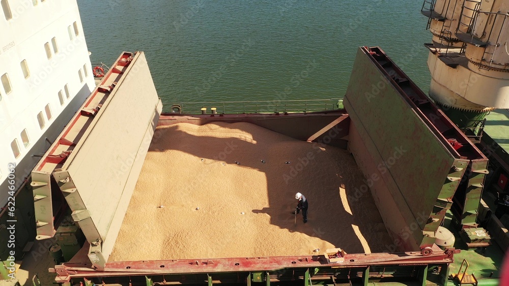 Pest control service workers doing fumigation in cargo hold of grain ...