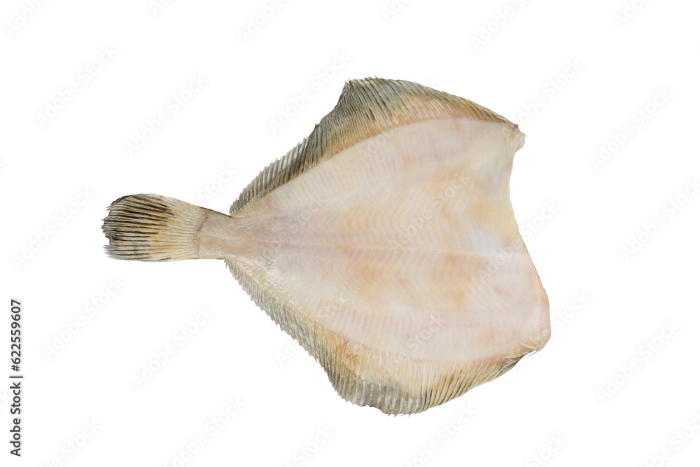 Sole fish without Skin - Flatfish isolated on white background with ...