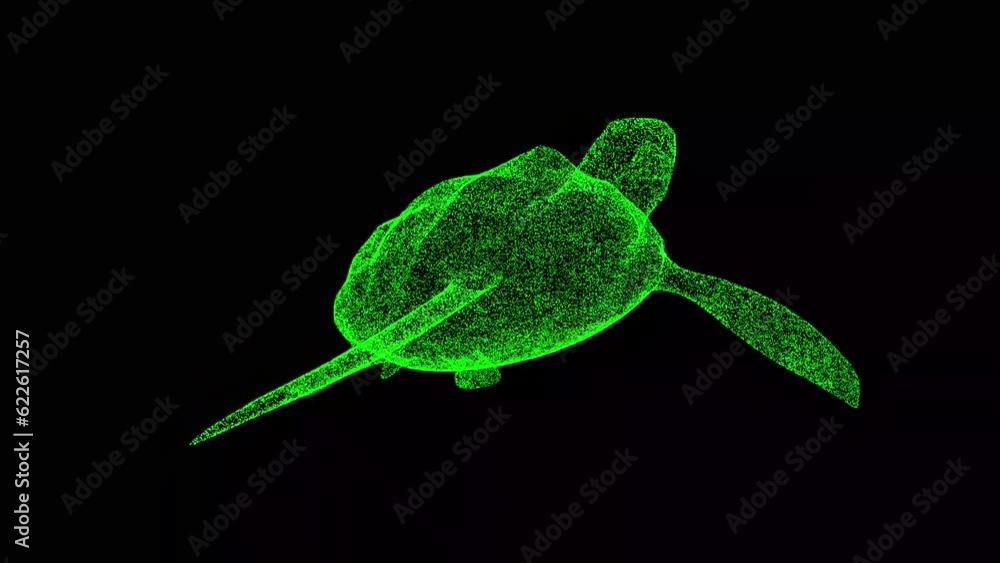 3D Turtle rotates on black bg. Underwater world. Turtles world water ...