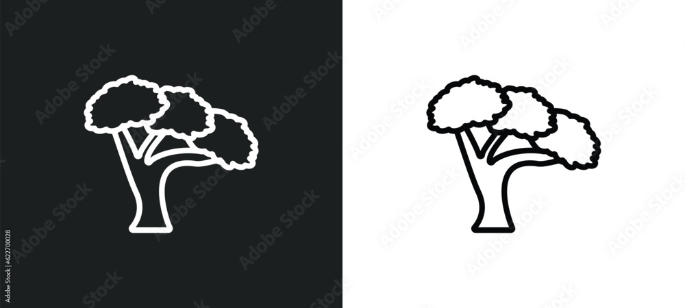 black locust tree outline icon in white and black colors. black locust ...