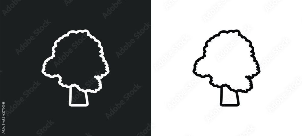 Vecteur Stock sassafras tree outline icon in white and black colors ...