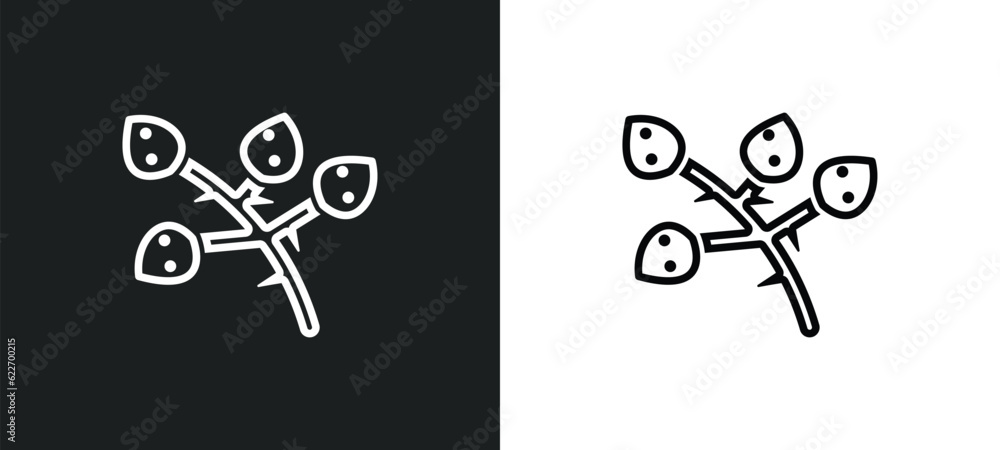 quaking aspen tree outline icon in white and black colors. quaking ...