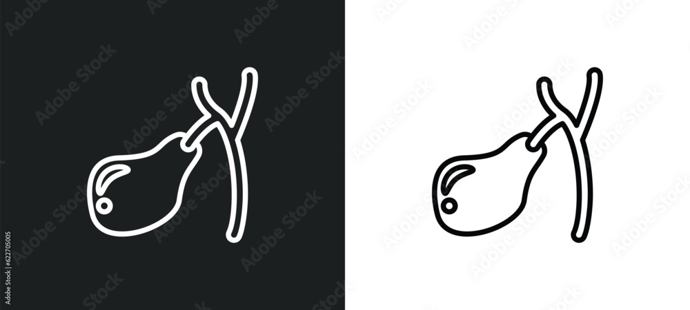 gallbladder outline icon in white and black colors. gallbladder flat ...