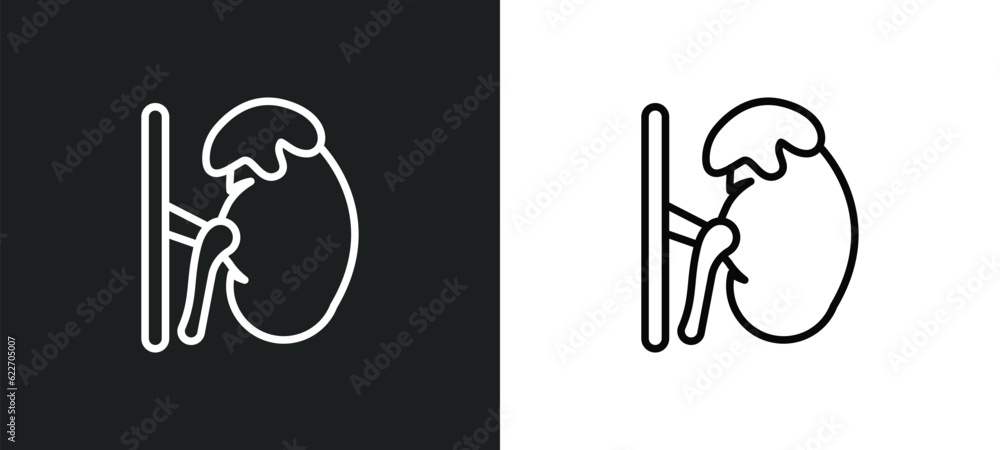 adrenal gland outline icon in white and black colors. adrenal gland ...