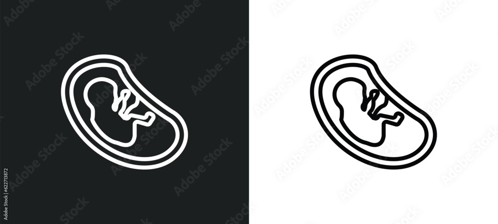 fetus in an uterus outline icon in white and black colors. fetus in an uterus flat vector icon ...