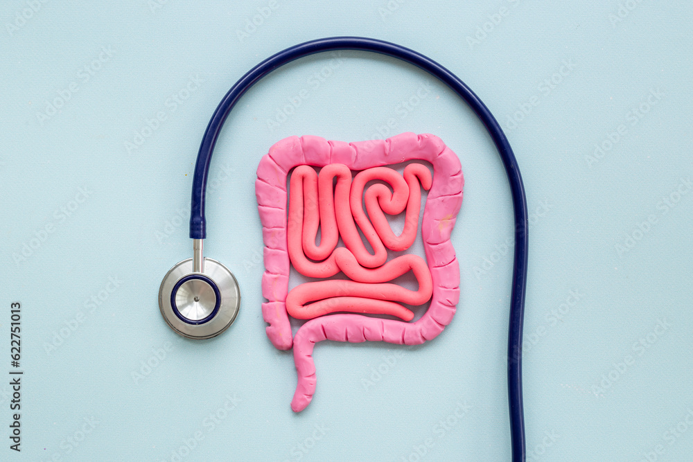 Intestines colon organ stomach shape of plasticine. Digestive tract ...
