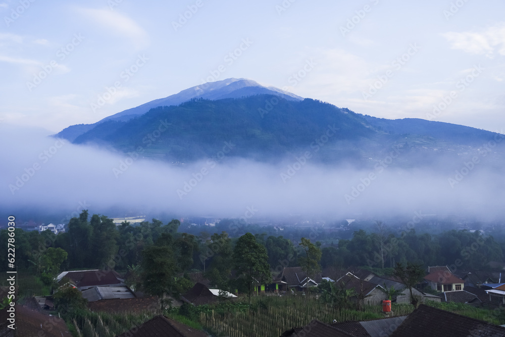 Beautiful view of Mount Merbabu mountainside in the morning with vegetable garden and village ...