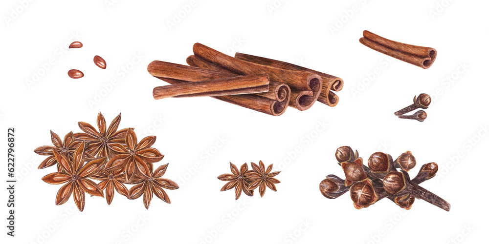 Watercolor clip art of star anise, dried cloves, cinnamons sticks ...