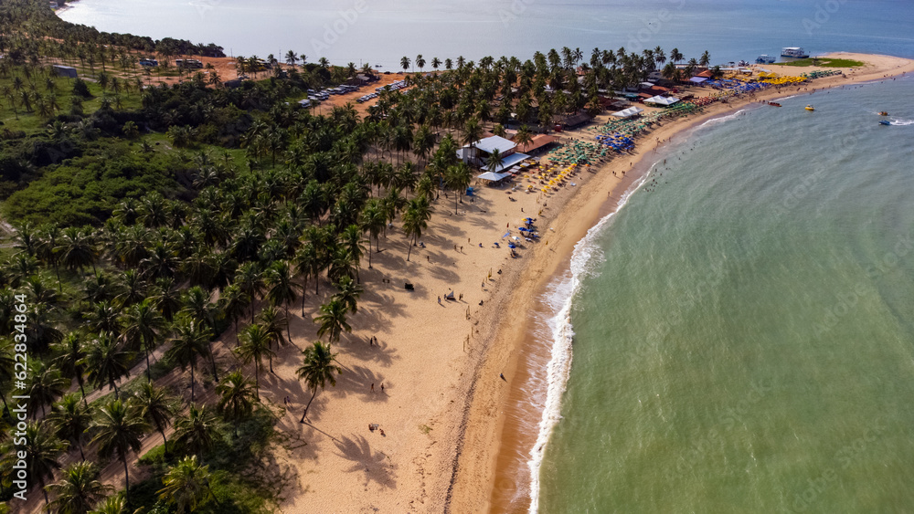 Foto aérea da praia do Gunga em Maceió, Alagoas, Nordeste do Brasil ...