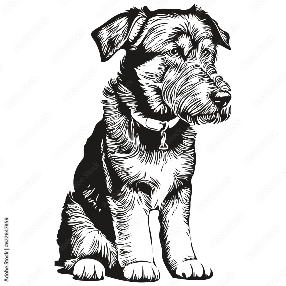 Airedale Terrier dog pencil hand drawing vector, outline illustration ...