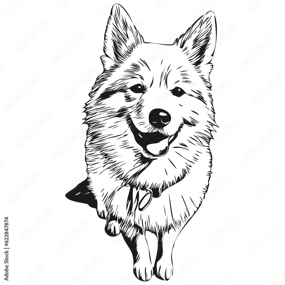 Pets Black And White Clip Art