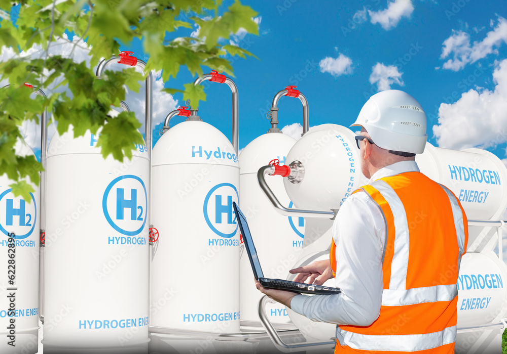 Worker near hydrogen storage facility. Man engineer with back to camera ...