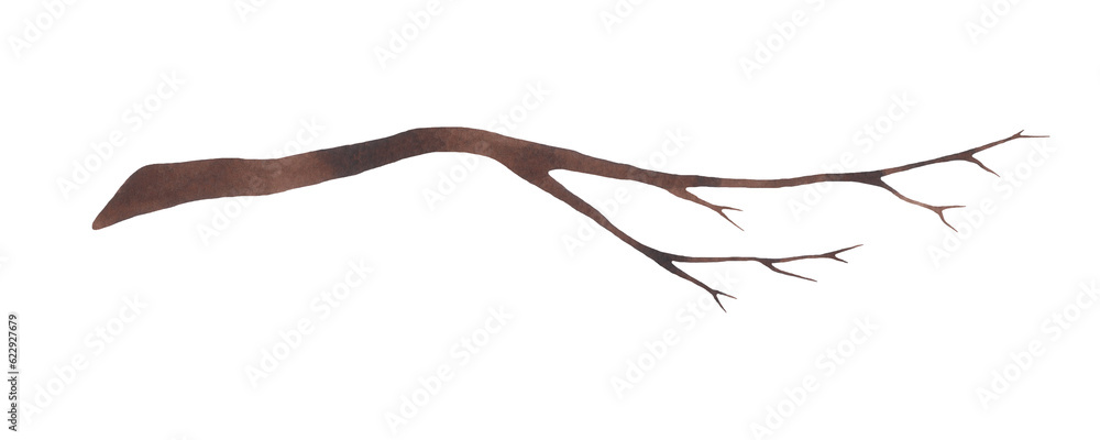 A branch from a tree, empty, bare without leaves, isolated on a white ...