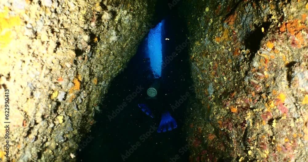 cave diving underwater exploring caves with fish and having fun ocean ...