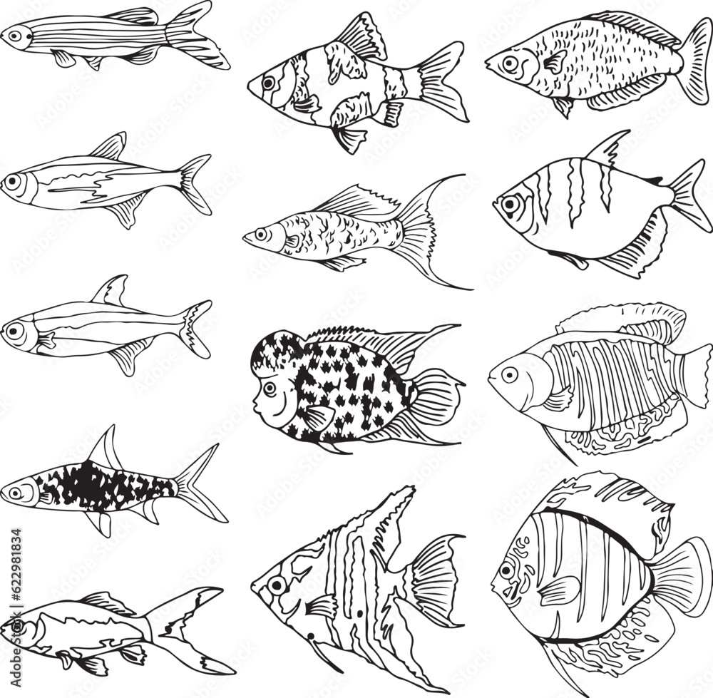 pack of outline fish vector illustration collection isolated in white ...