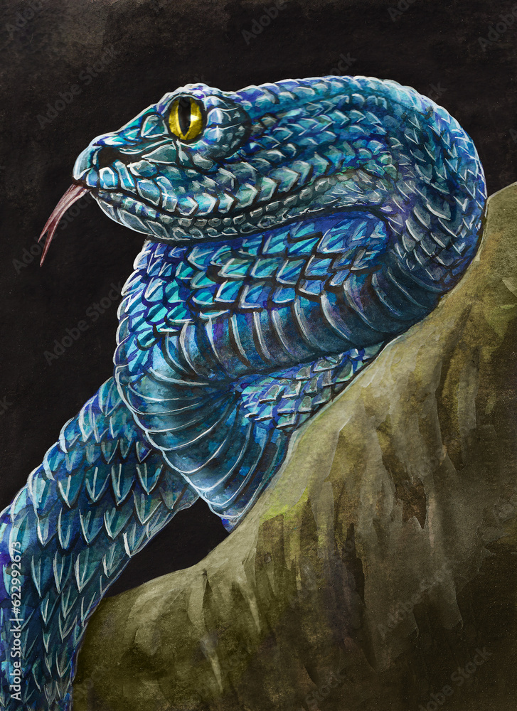 Drawing of a blue beautiful snake. Cold blooded reptile. Isolated ...