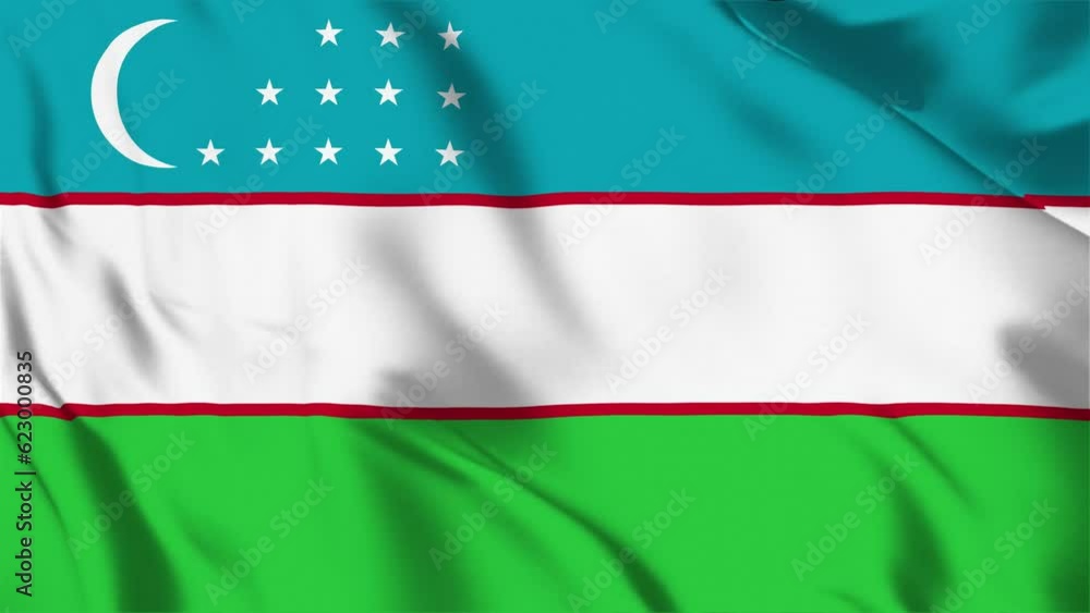Uzbekistan flag background with seamless looping animation in 60 fps Stock Video | Adobe Stock
