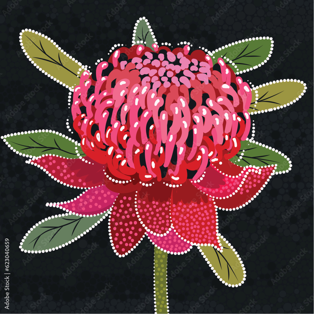 Aboriginal dot art illustration of Australian Waratah Flower Stock ...