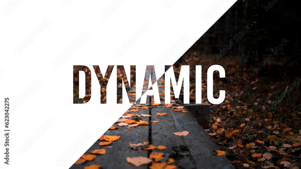 Dynamic Slides Logo Opener Stock Template | Adobe Stock