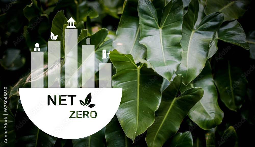 Net zero and carbon neutral concept.Net Zero text in bubbles with forest. for net zero ...