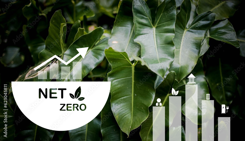 Net zero and carbon neutral concept.Net Zero text in bubbles with ...