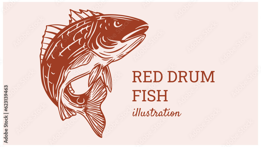 Jumping red drum fish or Red fish hand drawing illustration for logo ...