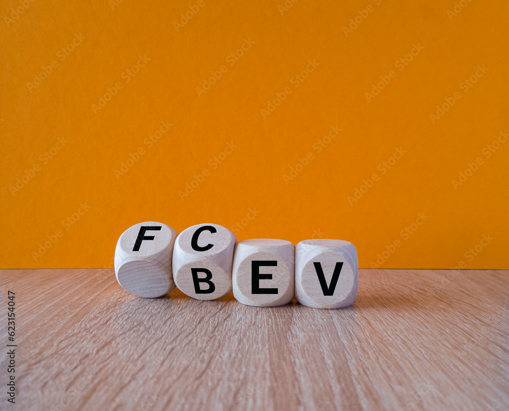 Battery Electric Vehicle (BEV) or a Fuel Cell Electric Vehicle (FCEV ...