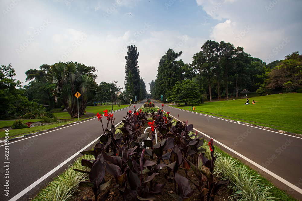View of Bogor Botanical Gardens (Kebun Raya Bogor), Kebun Raya Bogor is ...