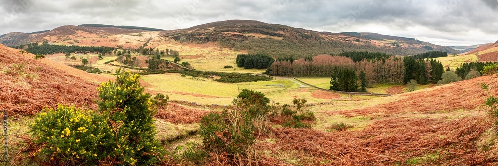 Idyllic panoramic view, County Wicklow, Ireland. Mountains, close to ...