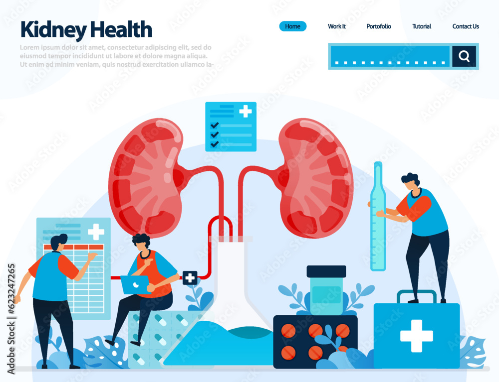illustration for checking kidney health. diseases and disorders of ...