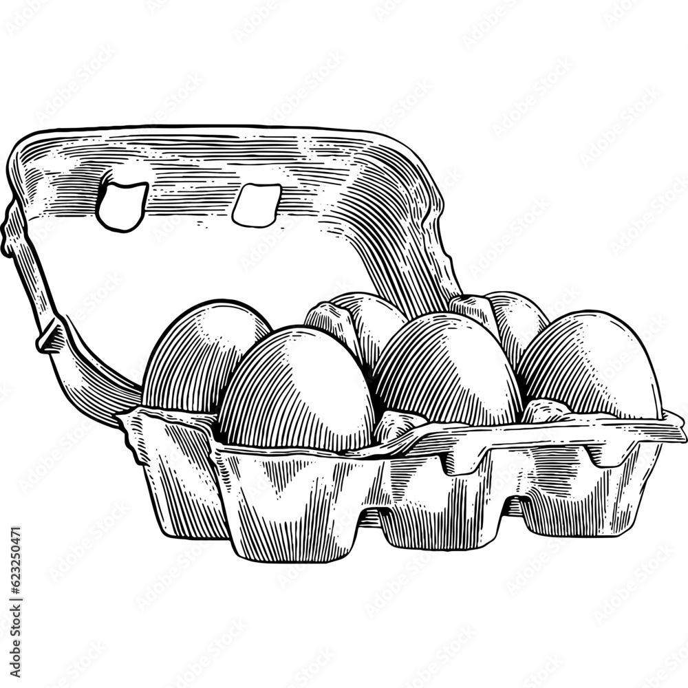 Hand drawn Eggs in a Carton Box Sketch Illustration Stock Vector ...