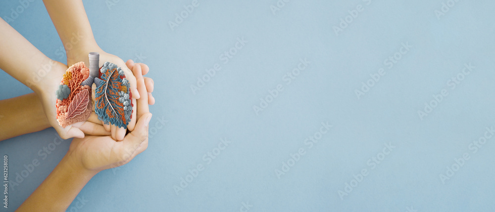 Hands holding anatomy lung, world tuberculosis tb day, world no tobacco ...