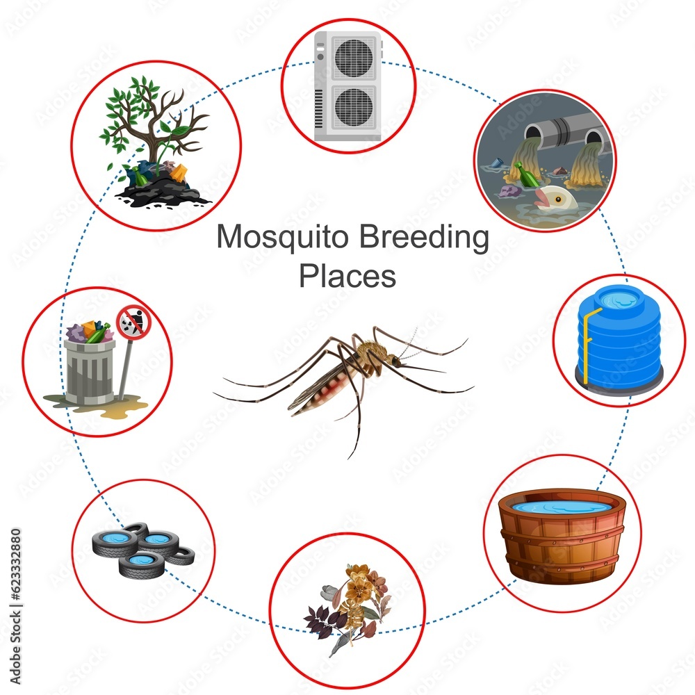 Mosquito breeding places include stagnant water sources like ponds ...