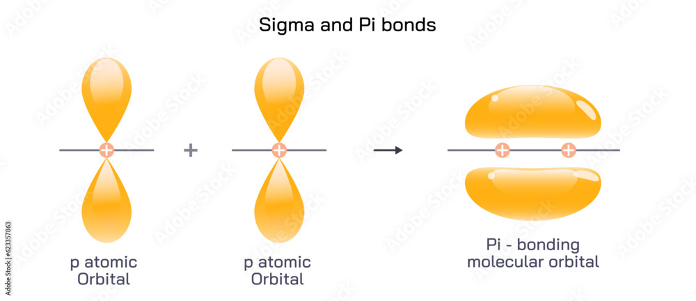 Covalent bonds happen when atoms share electrons. Sigma bonds are the ...
