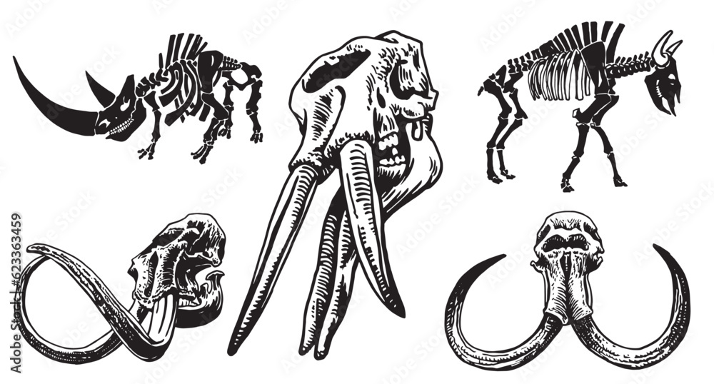 Graphical set of mammoth and smilodon skulls and skeleton of ...