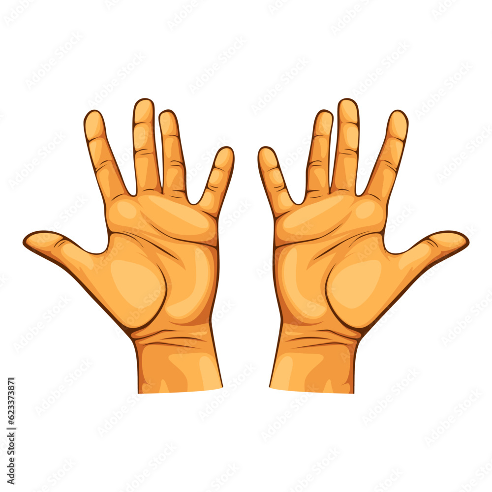 Pair of hands vector isolated on white background, detailed hand vector ...